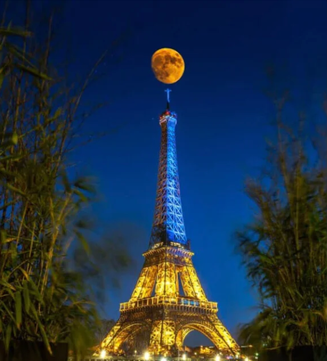 Sun Moon Expert - Mobile App for Sun and Moon Tracking – MIOPS